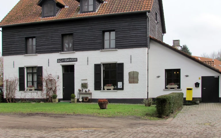 Reflex - 2260 Westerlo, Boskant 18